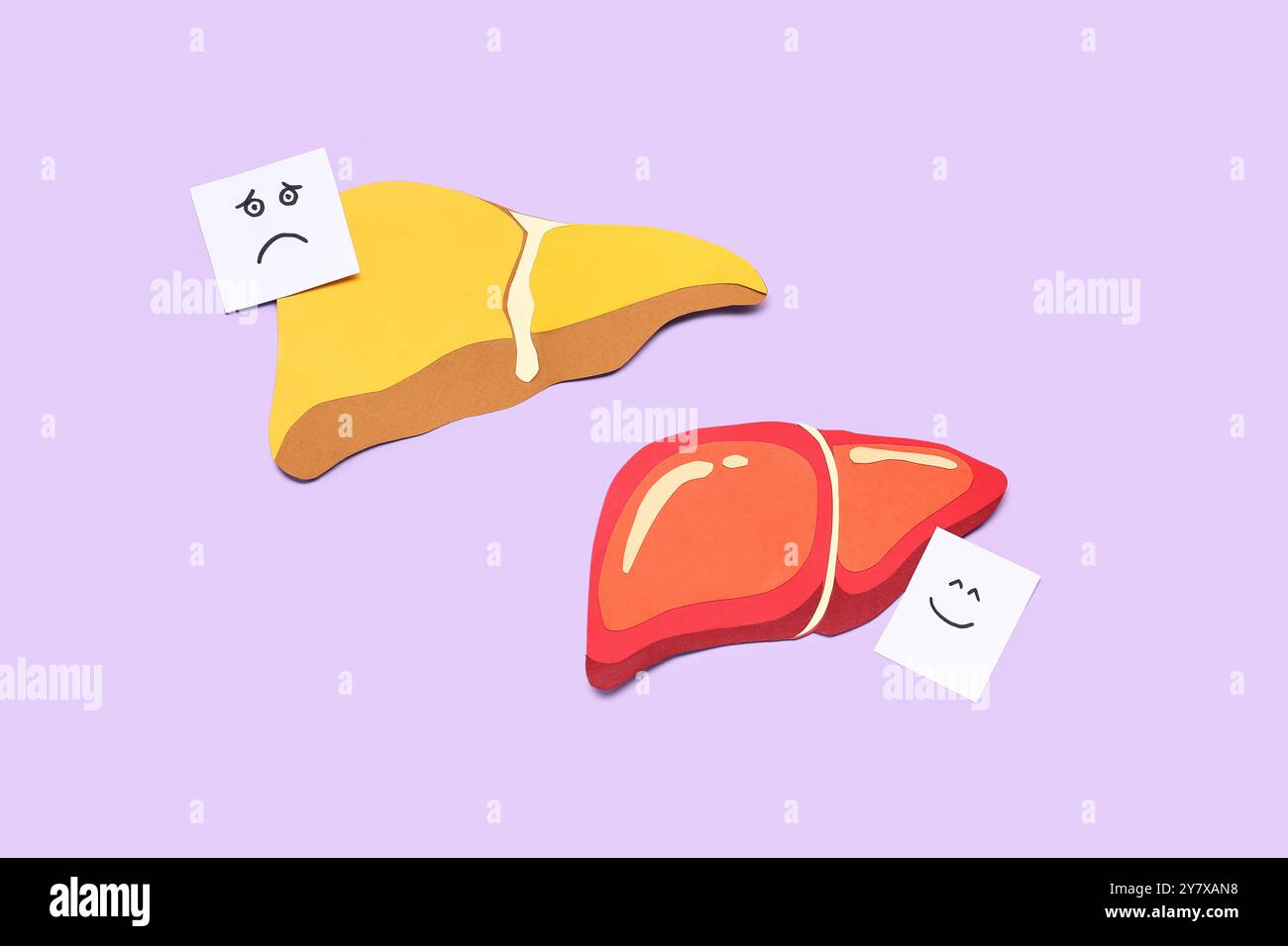 Paper liver organs with sad and happy smiles on lilac background Stock ...