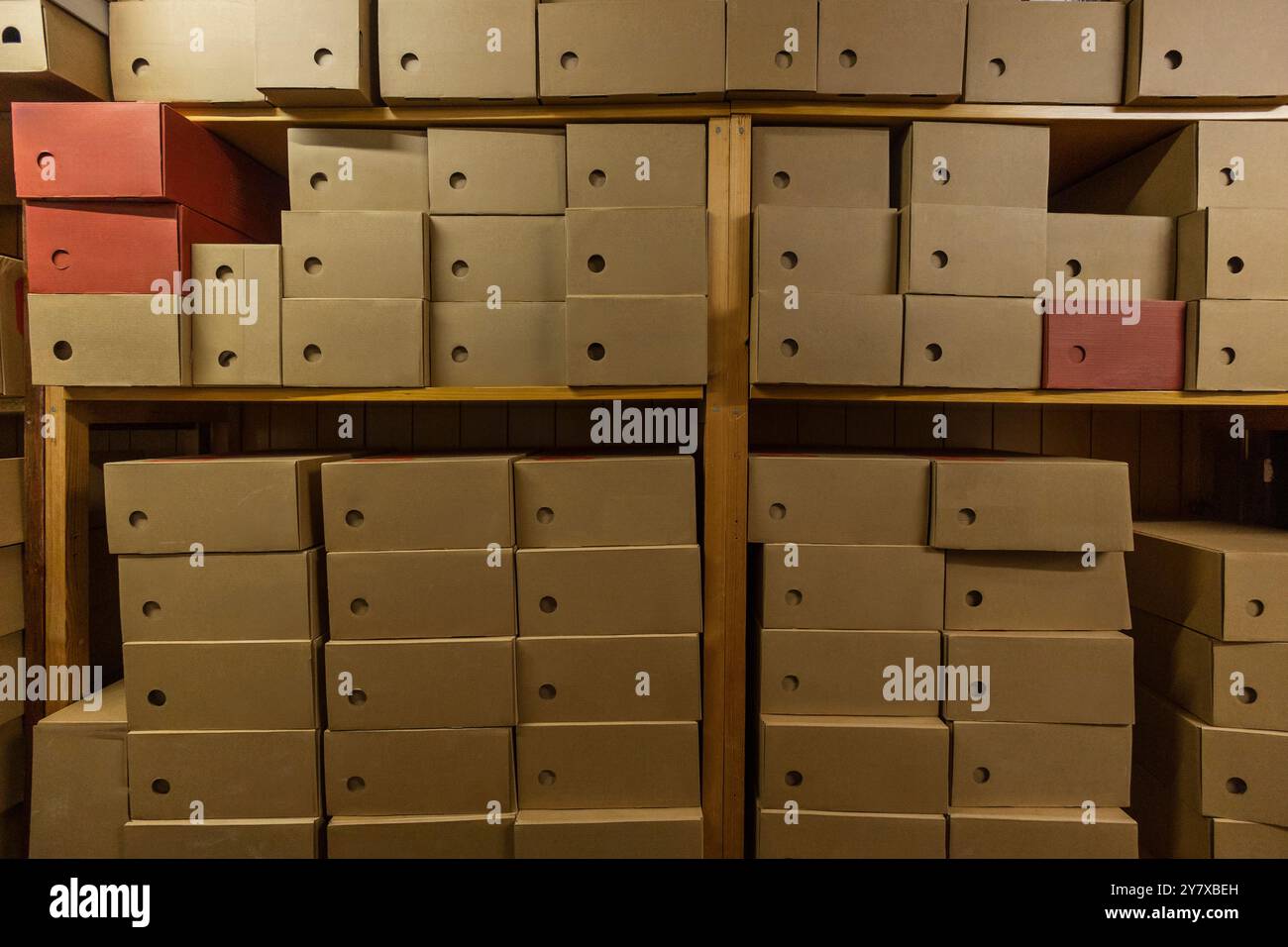 Efficient storage in a small shop filled with organized cardboard boxes ...