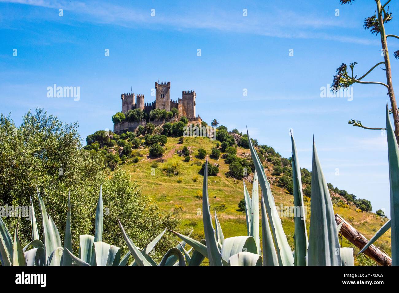 Almodovar del Rio, well-preserved medieval castle surrounded by olive ...