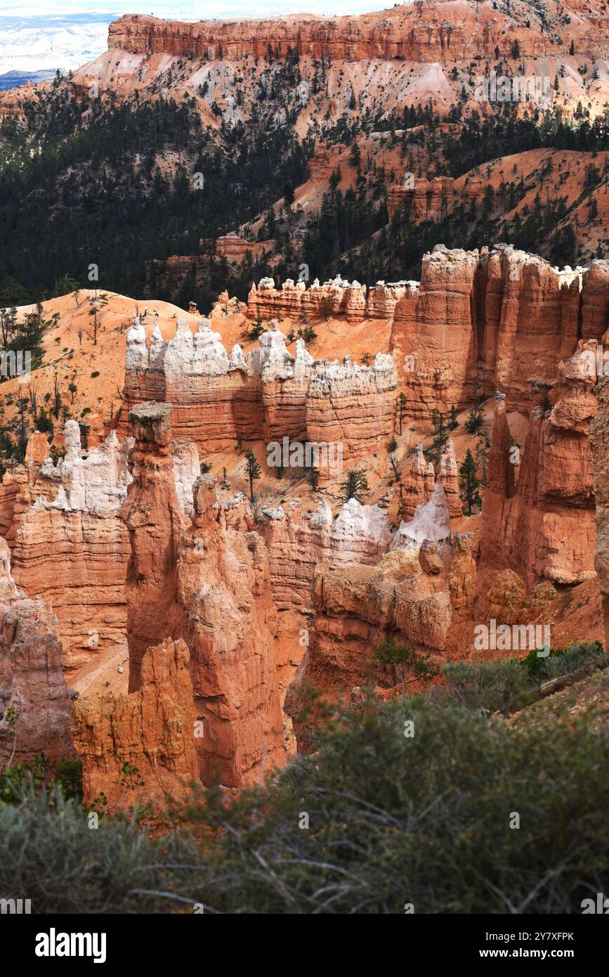 Bryce Canyon National Park with vertical, free standing hoodoos and ...