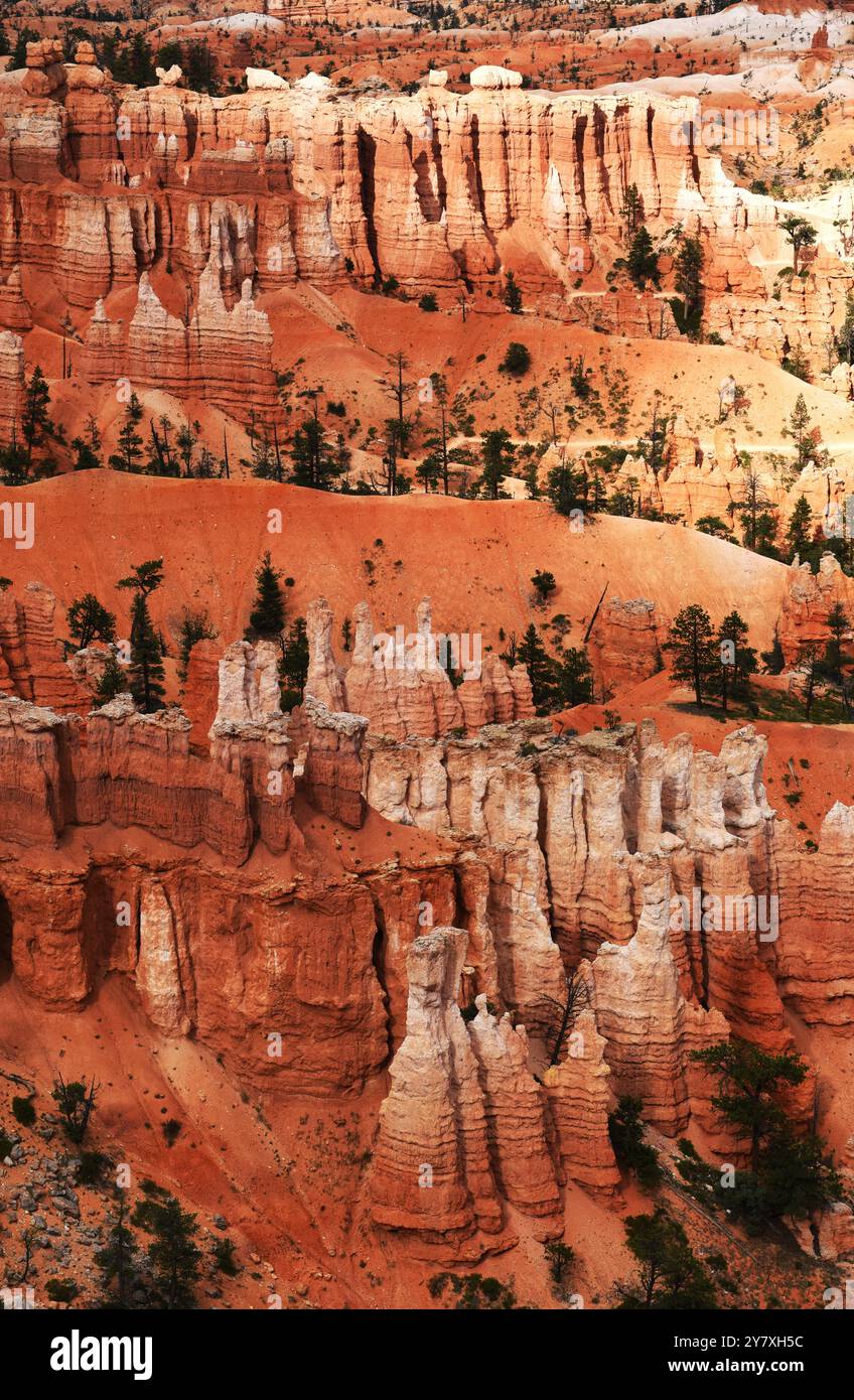 Bryce Canyon National Park with vertical, free standing hoodoos and ...