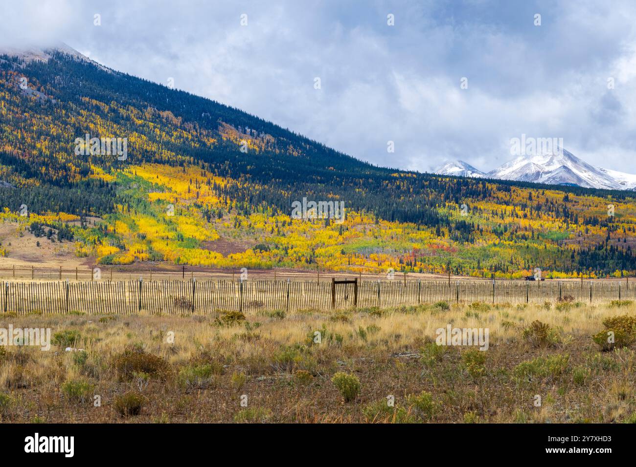 First snowfall on the first day of Autumn in the Colorado Rockies mixes ...