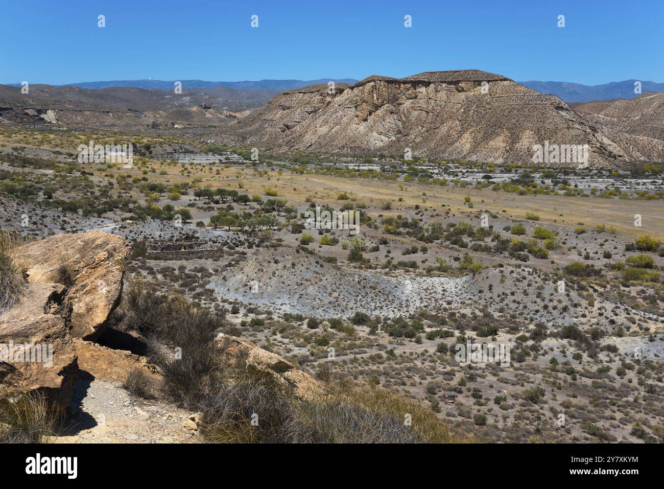 Extensive desert landscape with mountains and dry vegetation under a ...