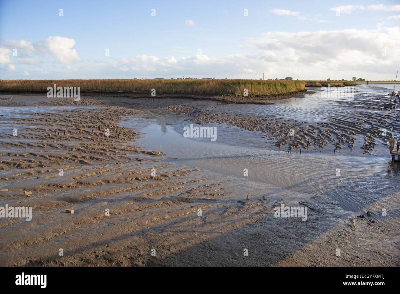 Low water, Ems, silt inflow, boat harbour, Petkum, East Frisia, Germany ...
