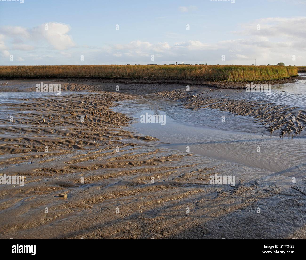 Low water, Ems, silt inflow, boat harbour, Petkum, East Frisia, Germany ...