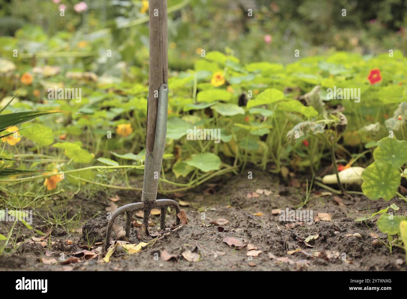 Forke hi-res stock photography and images - Alamy