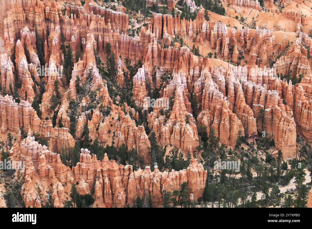 Bryce Canyon National Park with vertical, free standing hoodoos and ...