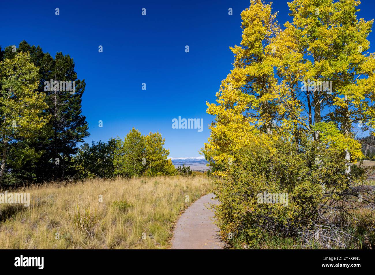 Wilkerson Pass in Colorado with views of the Collegiant Mountain Range ...