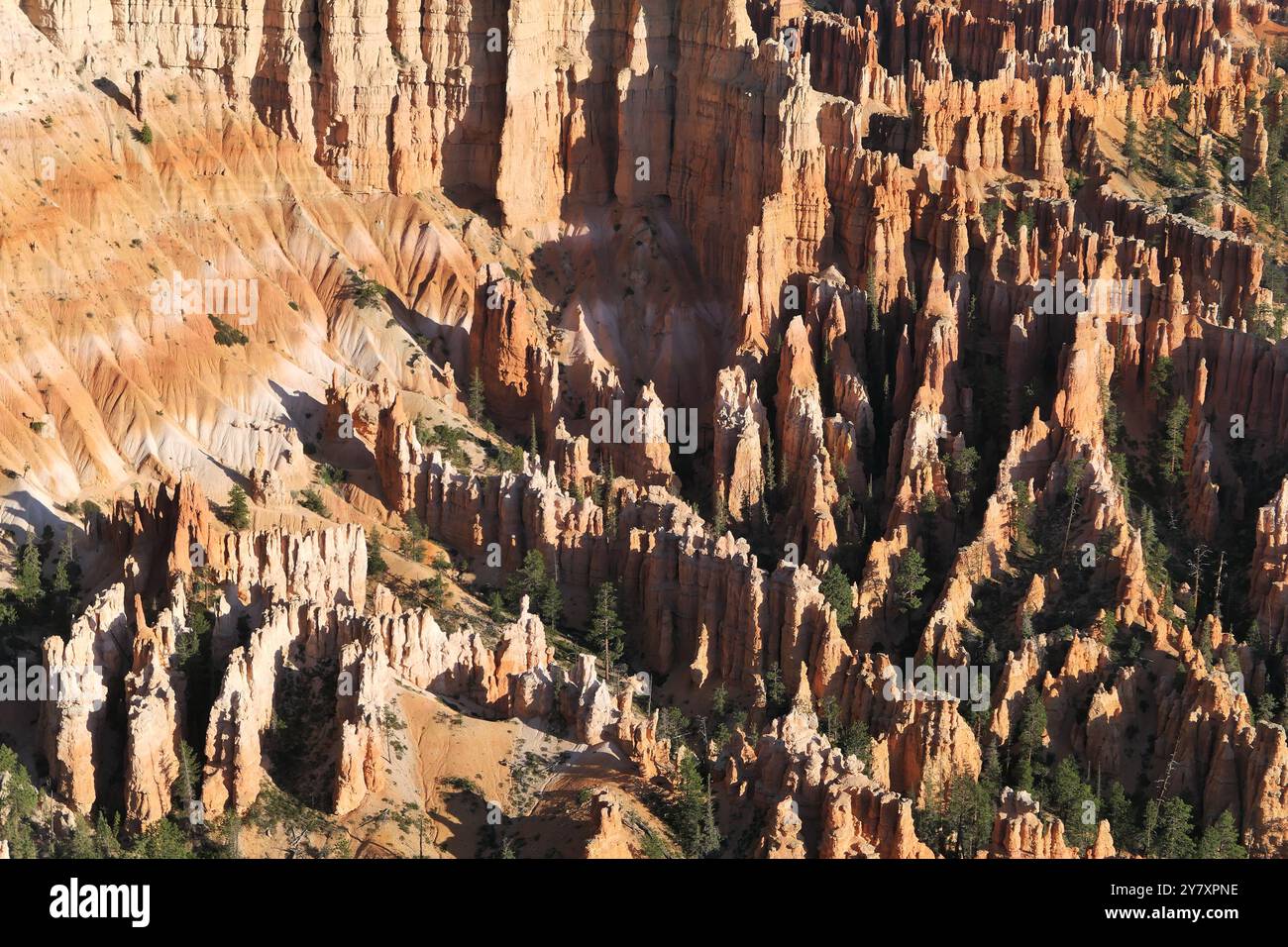 Bryce Canyon National Park with vertical, free standing hoodoos and ...
