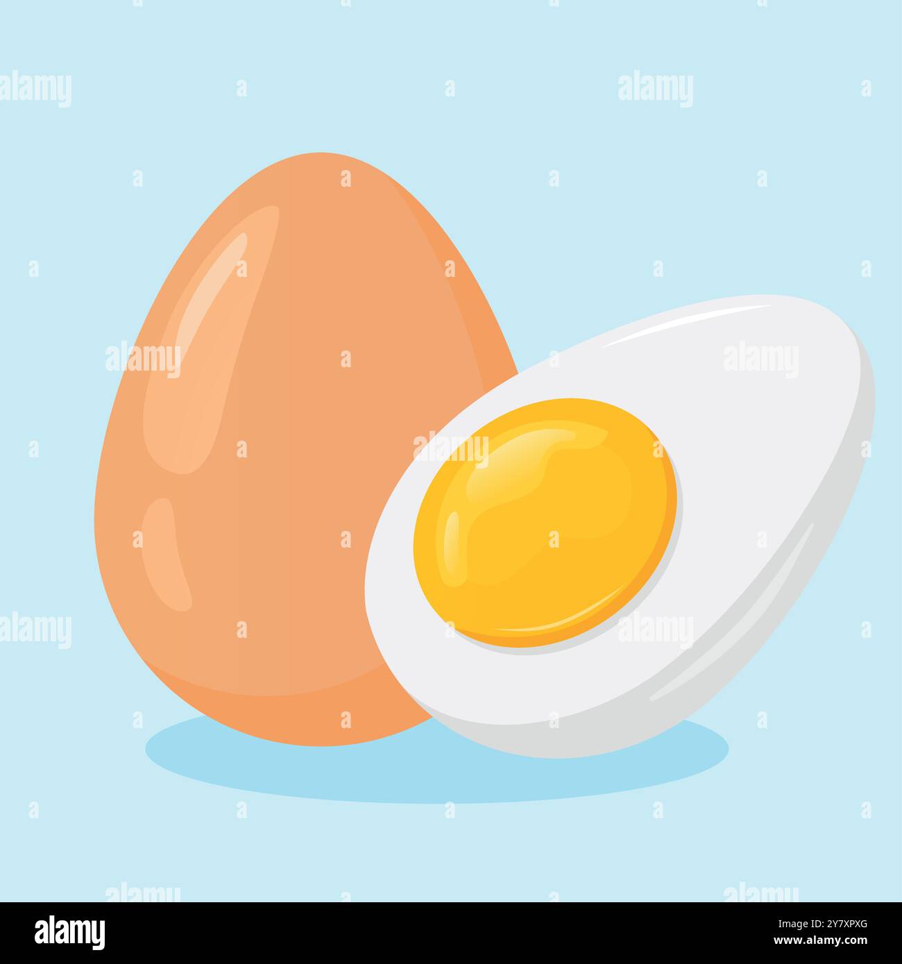 Chicken Egg Vector illustration. Sliced boiled egg and whole one in the ...