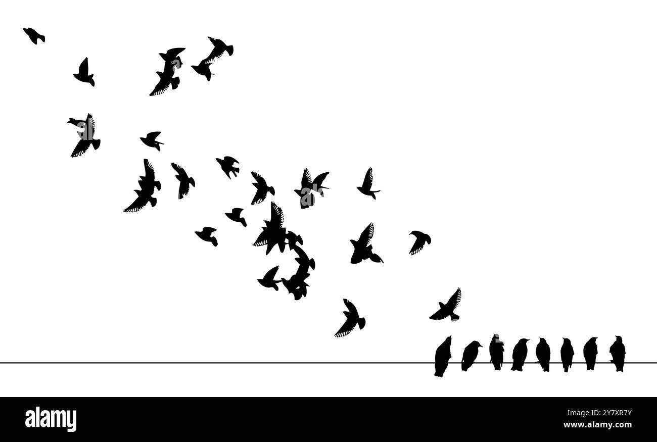 Starlings sitting on wires and flying into the sky. Flying birds ...