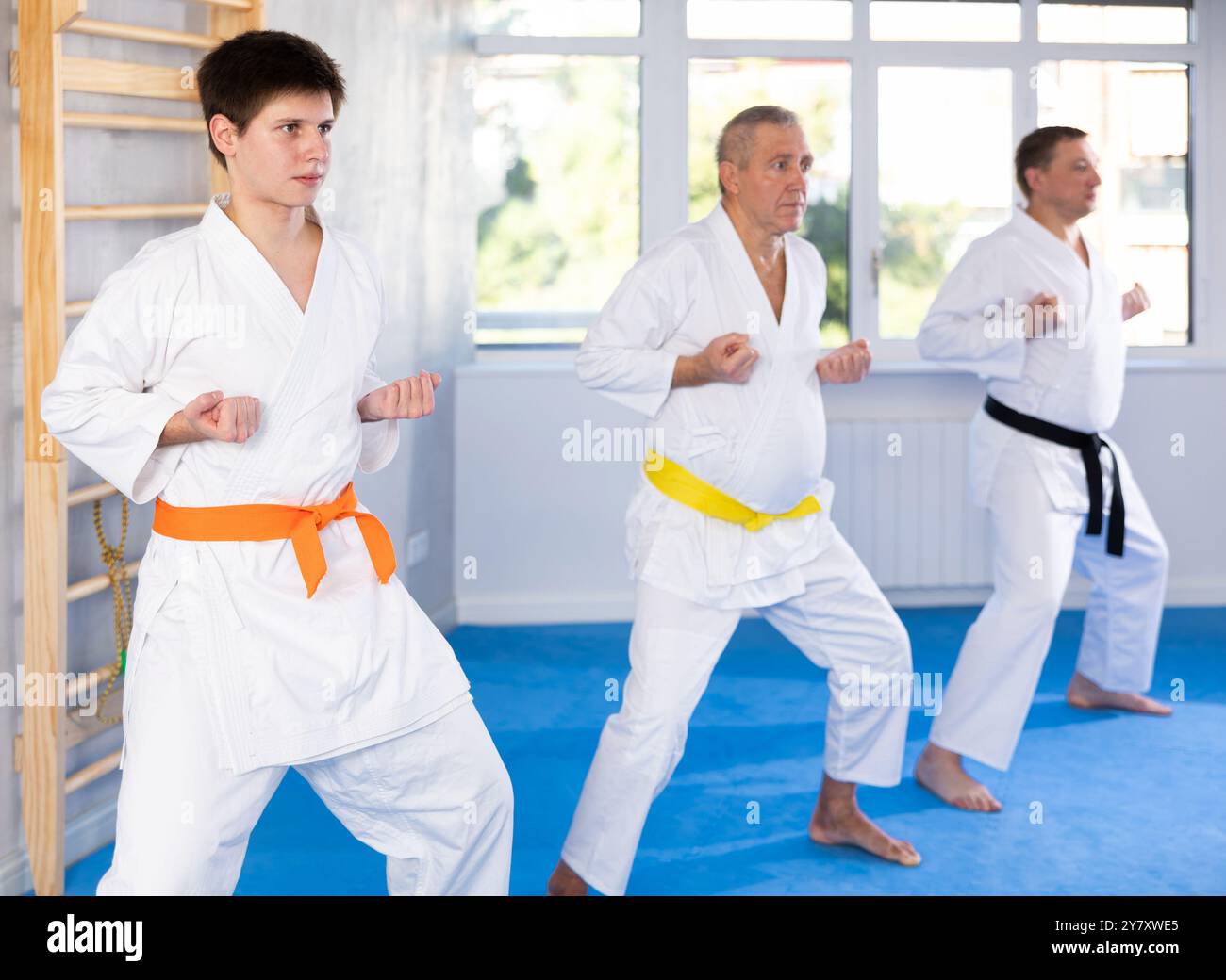Young guy trains karate techniques in studio Stock Photo - Alamy