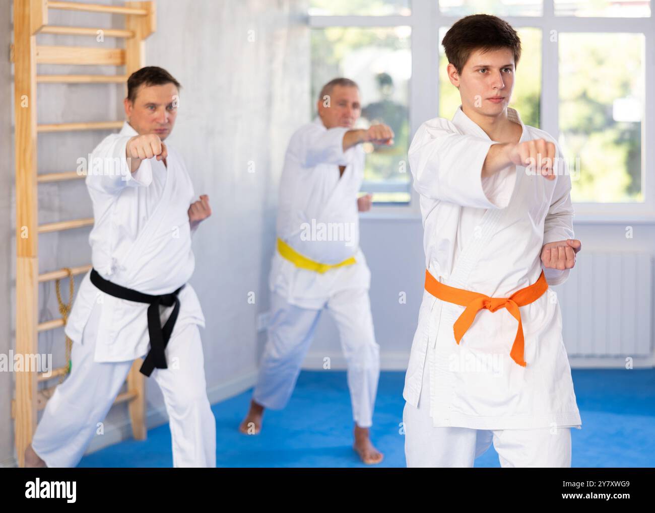 Young guy performing kata routines during group martial arts training ...