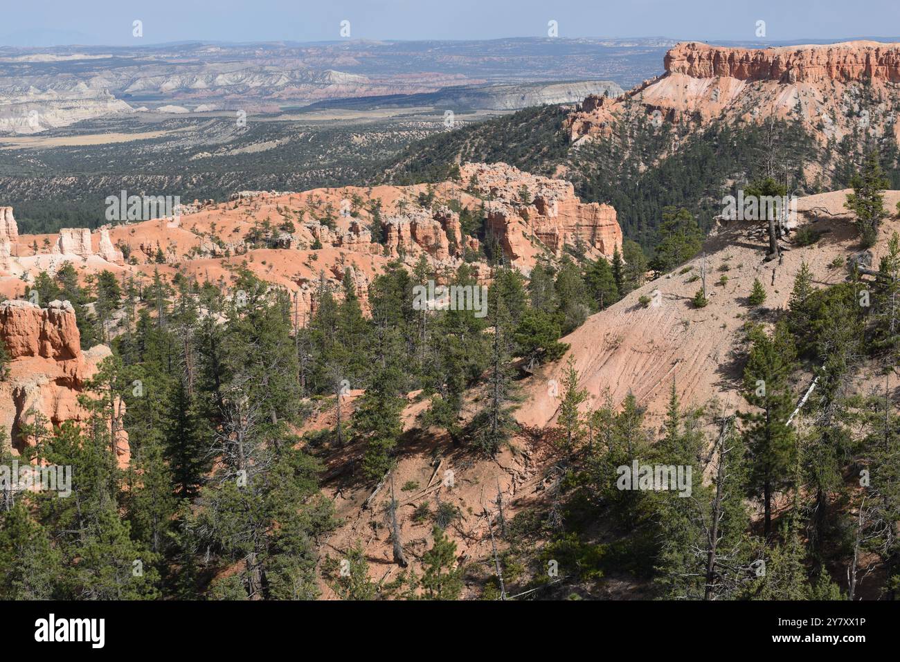 Bryce Canyon National Park with vertical, free standing hoodoos and ...