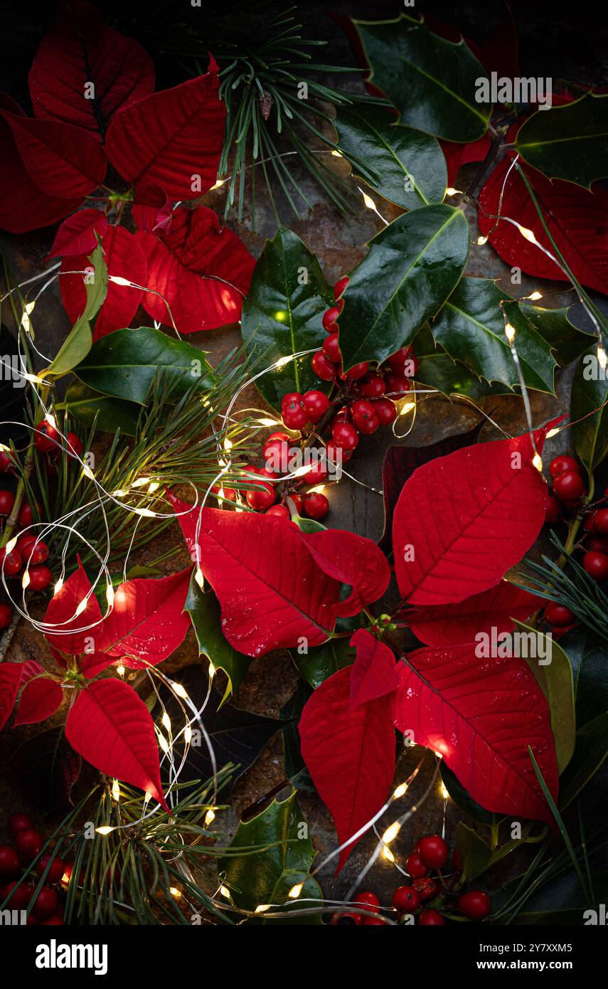 Holly fairy lights hi-res stock photography and images - Alamy