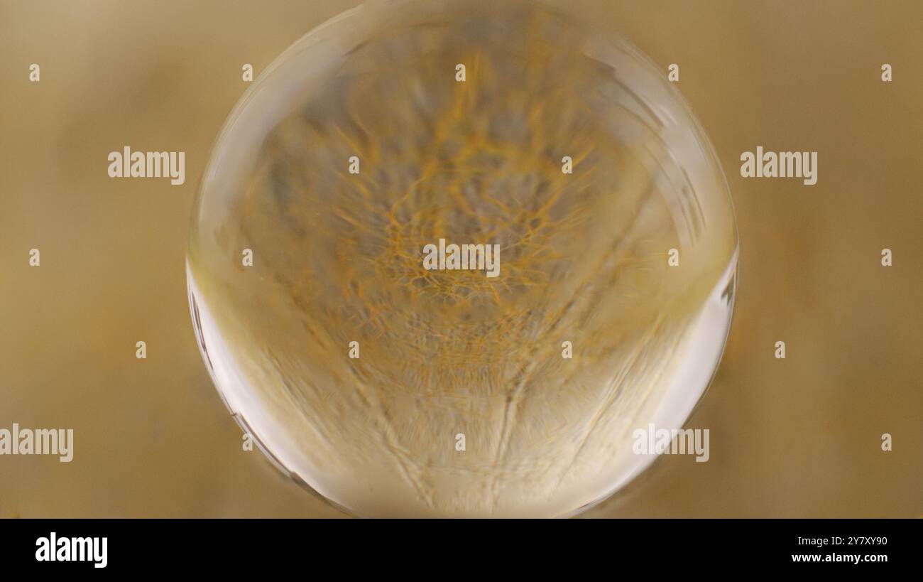 Glass structure reflects hi-res stock photography and images - Alamy