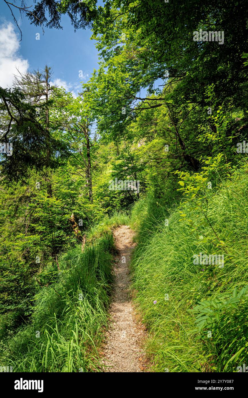 On the trail through the Rappin Gorge, Jachenau, Upper Bavaria, Bavaria ...