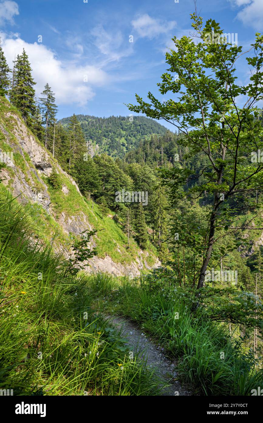 On the trail through the Rappin Gorge, Jachenau, Upper Bavaria, Bavaria ...