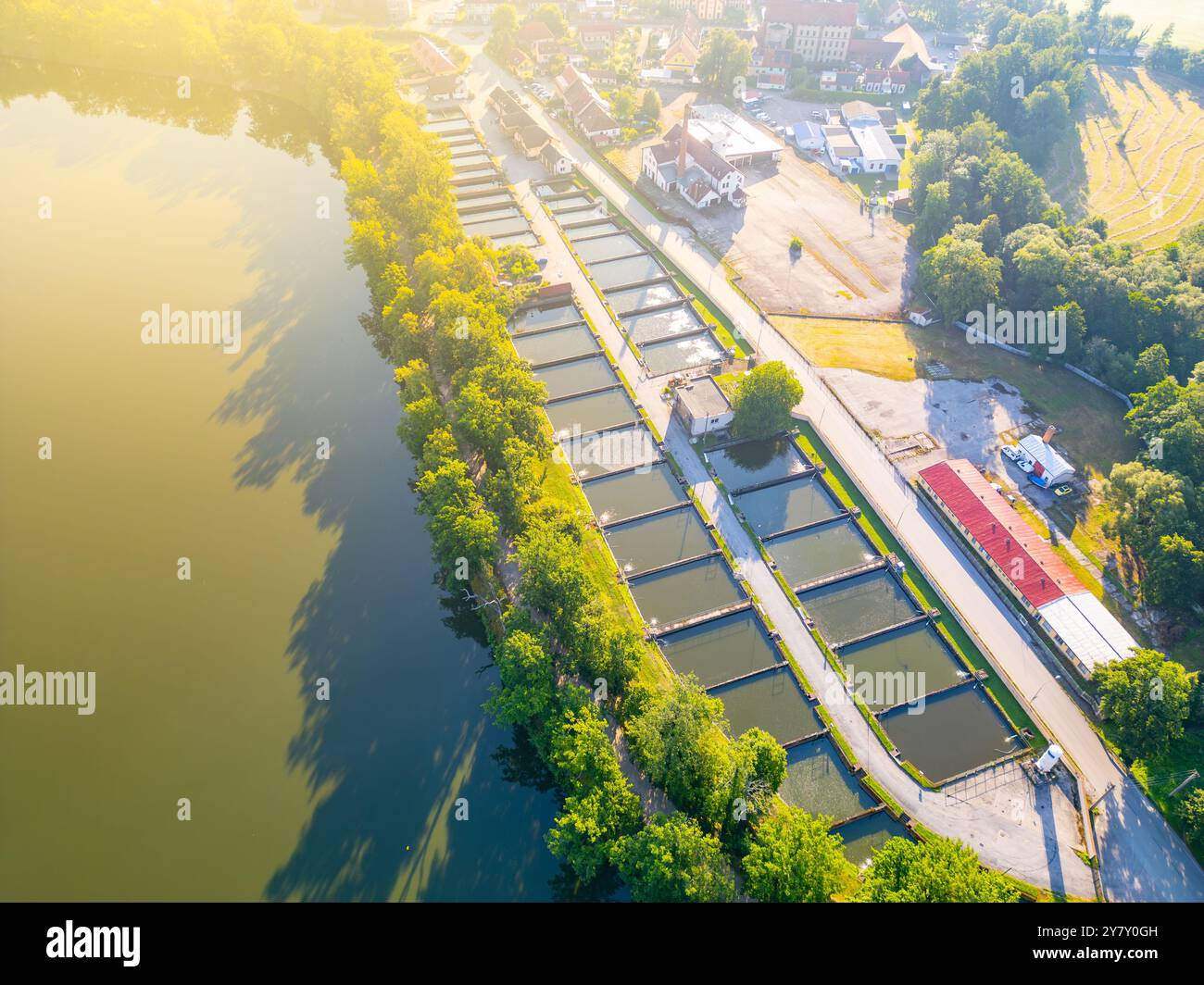 The aerial perspective showcases fish farm pools set against the lush ...