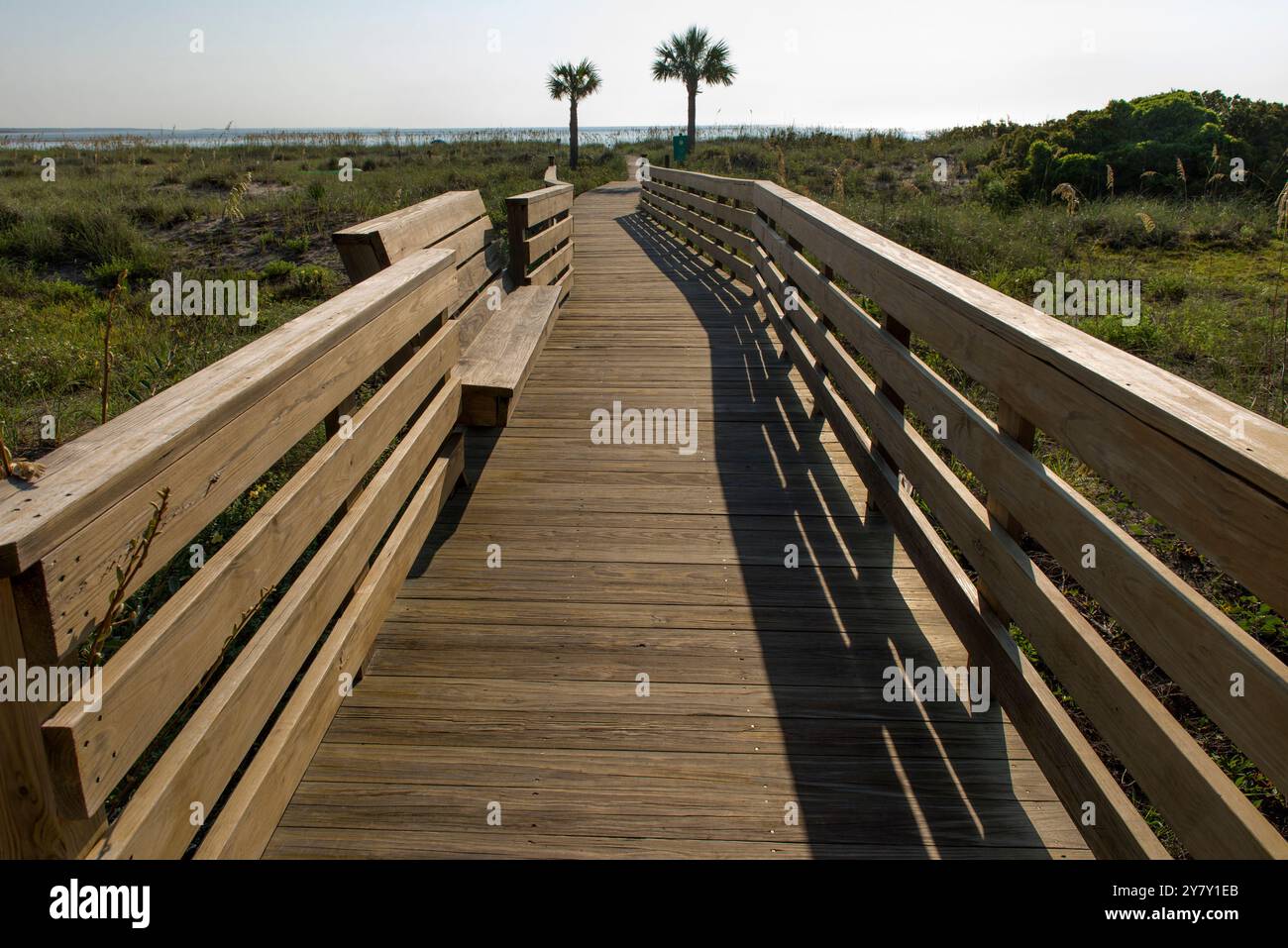 A scenic wooden boardwalk leading to the beach, surrounded by greenery ...
