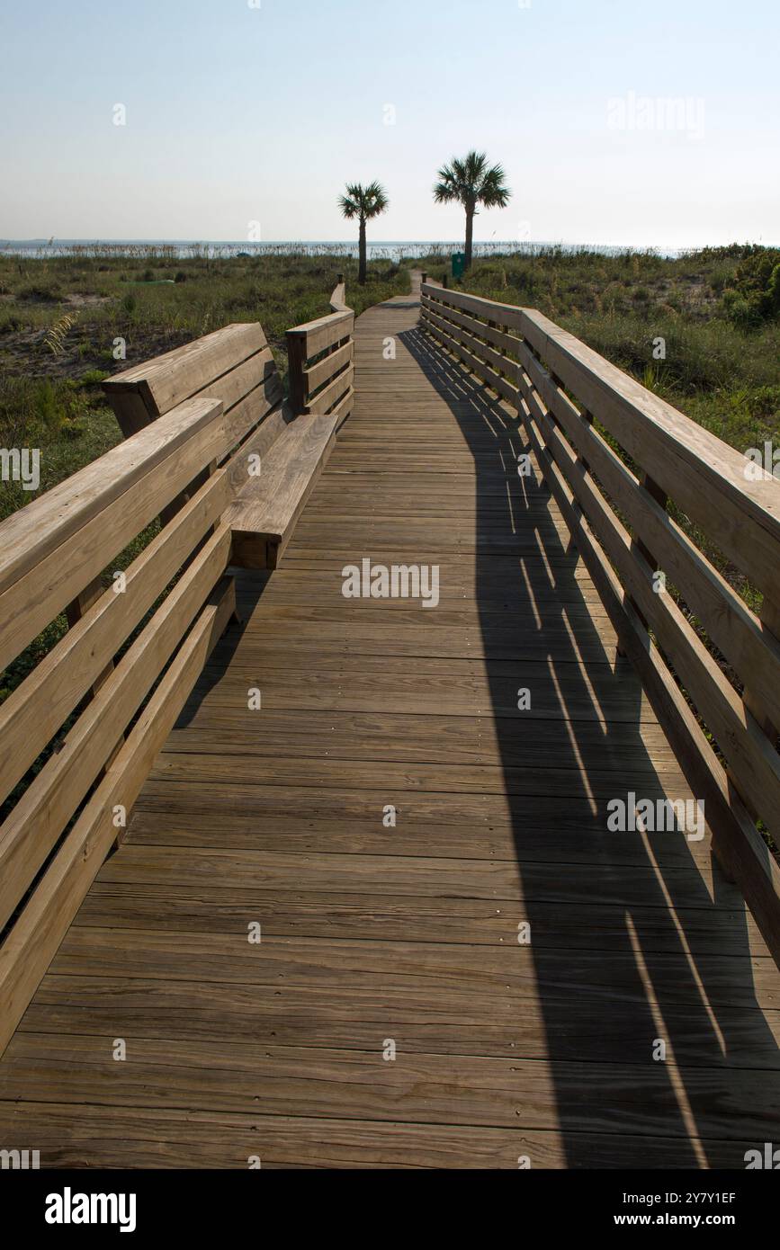 A scenic wooden boardwalk leading to the beach, surrounded by greenery ...