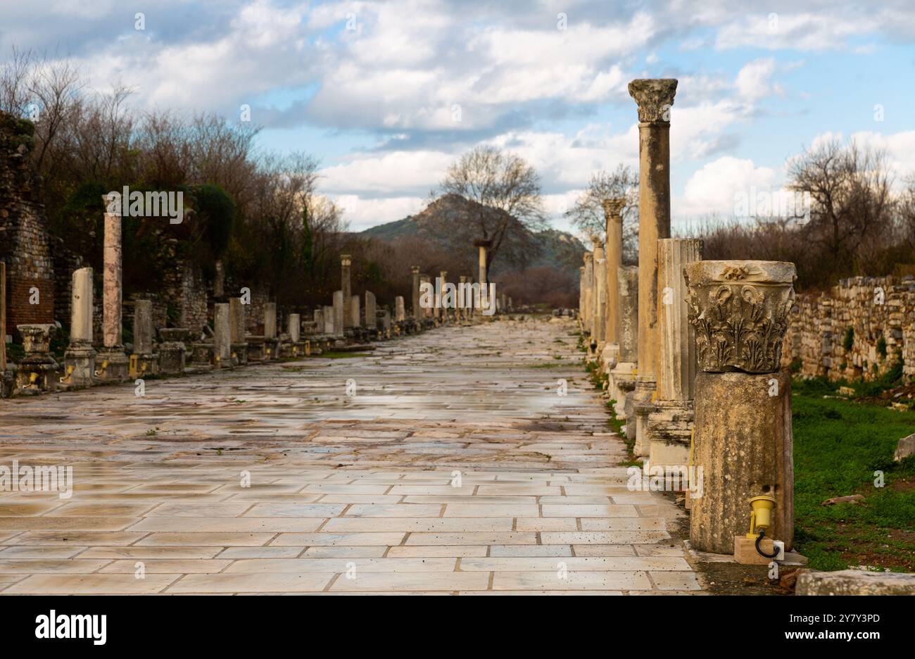 Street scene at the archeological excavations at Ephesus - Arkadiane ...