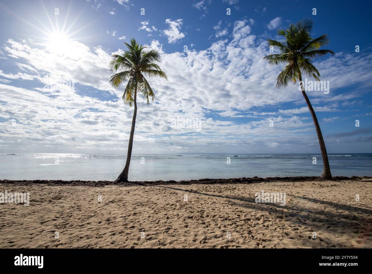 Plage de Bois Jolan, sunrise on the beach, Sainte-Anne, Guadeloupe ...