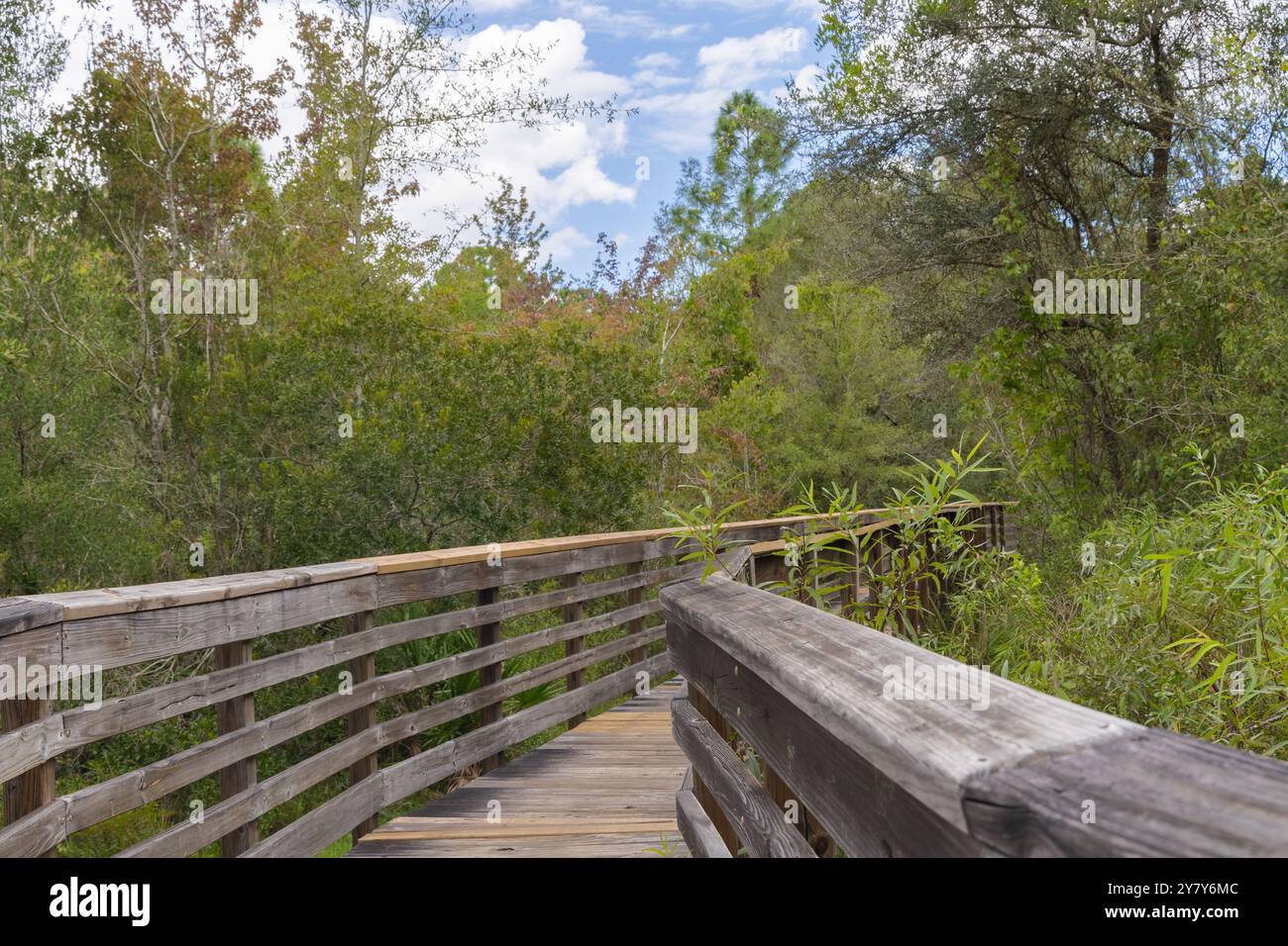 The wooded walking bridge transverses the vibrant colorful autumn and ...