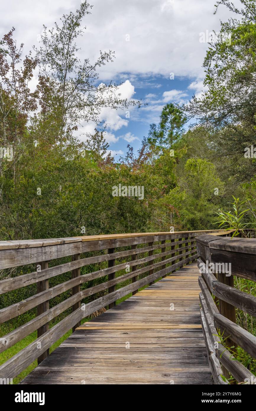 The wooded walking bridge transverses the vibrant colorful autumn and ...
