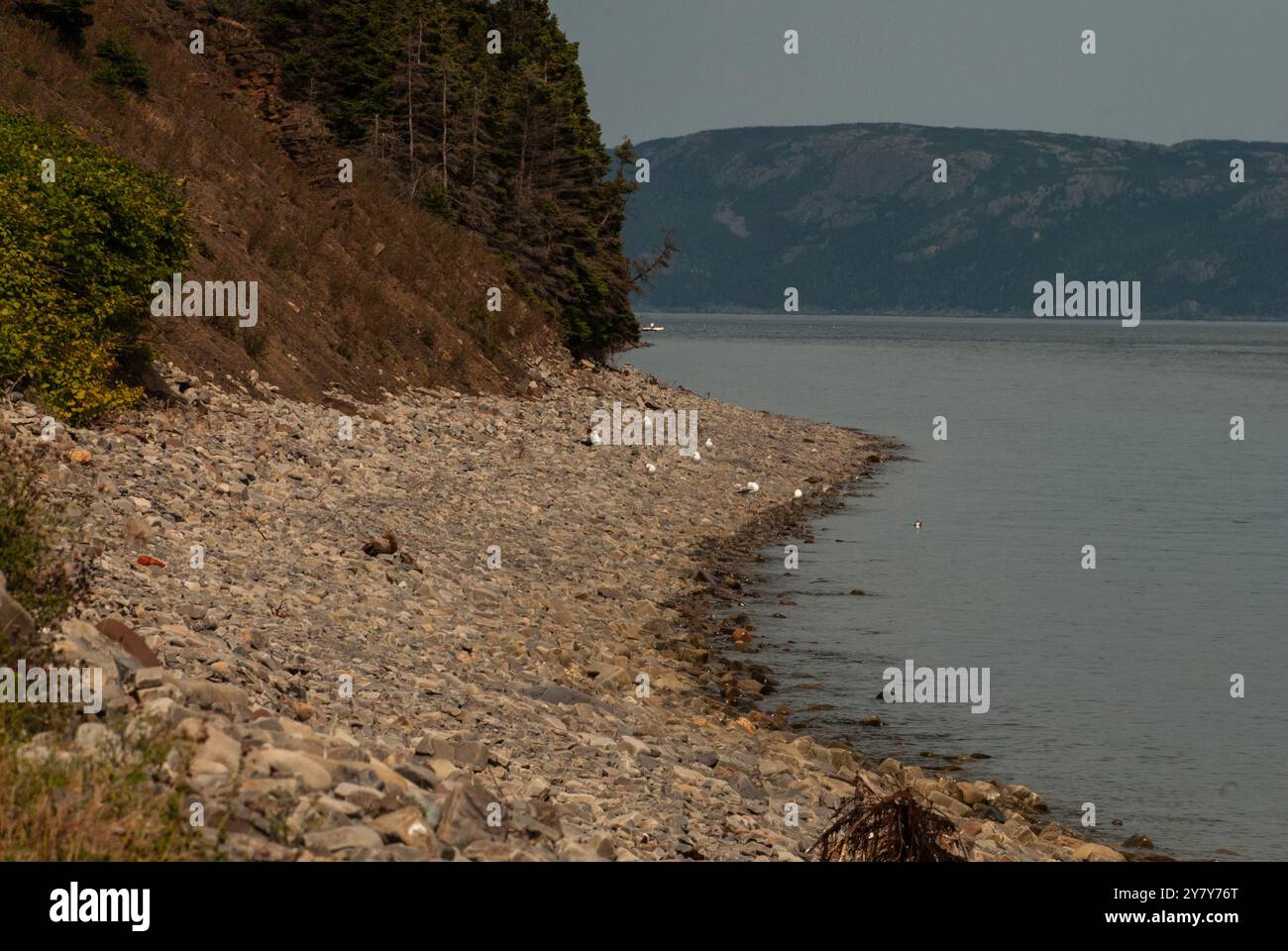 Beach at Lance Cove on Bell Island, Newfoundland & Labrador, Canada ...