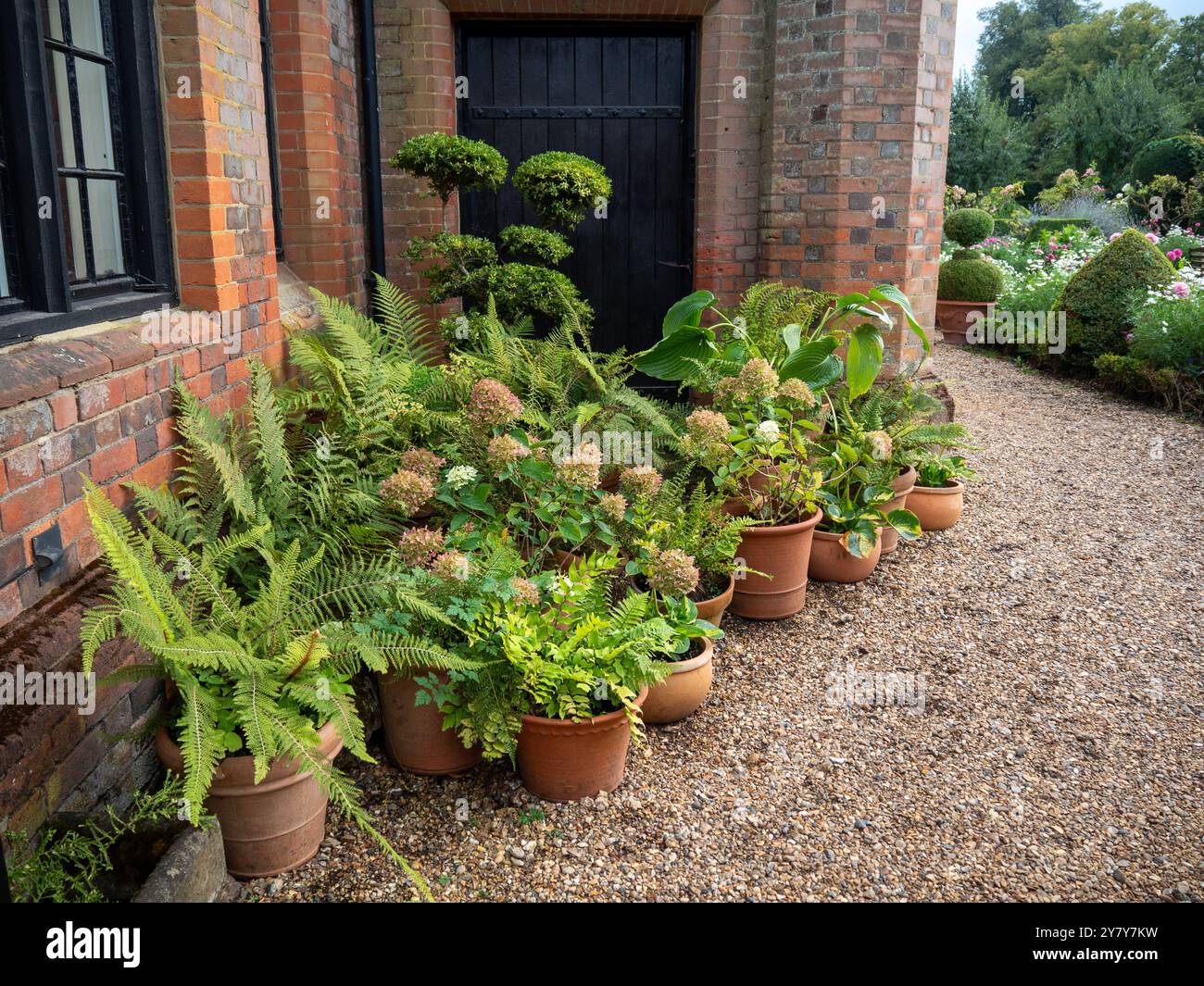 Chenies Manor in September; collection of terracotta plant pots with ...
