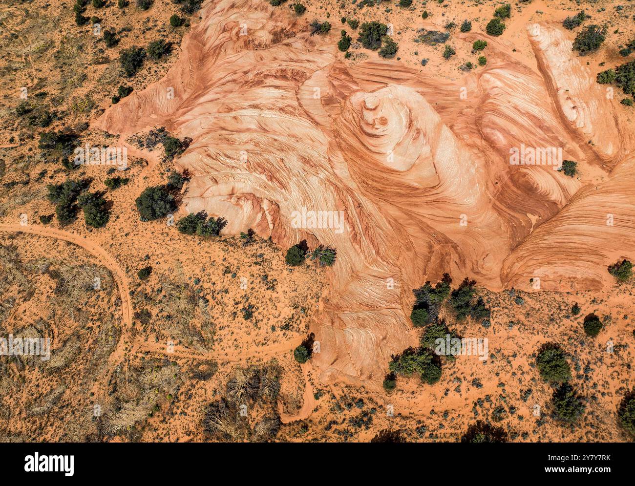 Aerial drone elephant in natural hi-res stock photography and images ...