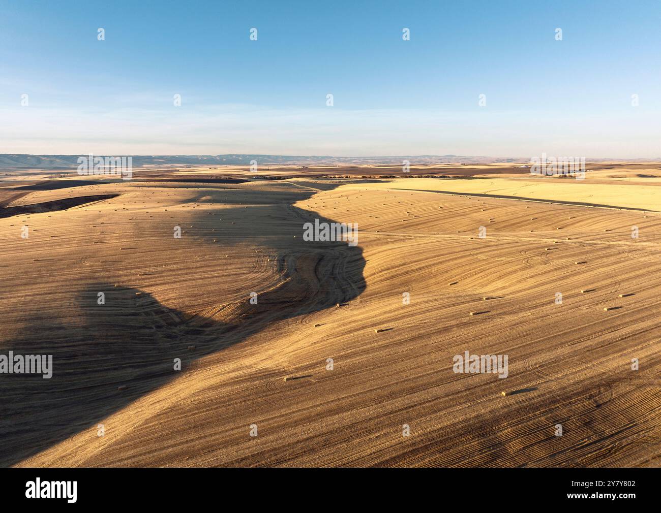 Aerial drone view of a field after the autumn harvest in the Palouse ...