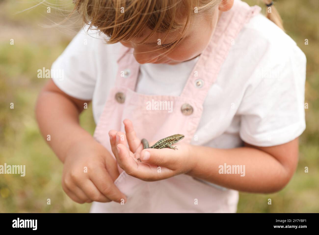 Little girl holding lizard on blurred background. Child enjoying ...