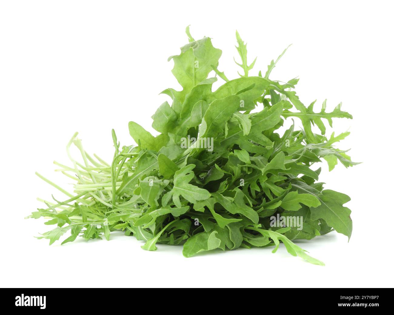 Many fresh arugula leaves isolated on white Stock Photo - Alamy