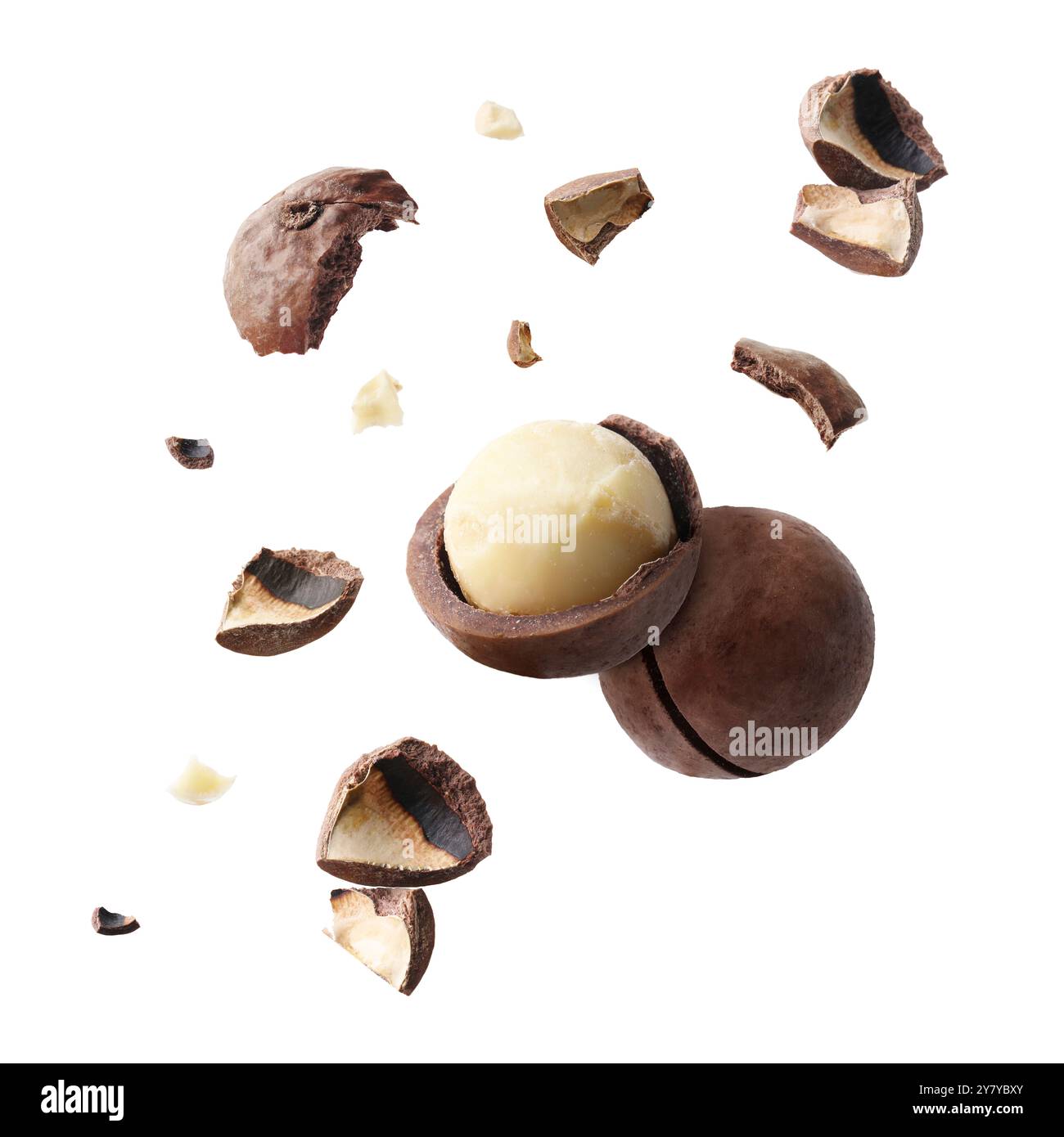 Macadamia nut and crushed shells in air on white background Stock Photo ...