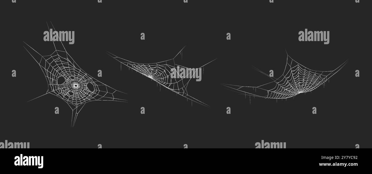 Spider webs handing in dark space realistic icons vector set Stock ...