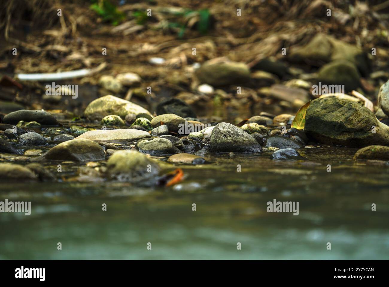 rounded stones in rivers Stock Photo - Alamy