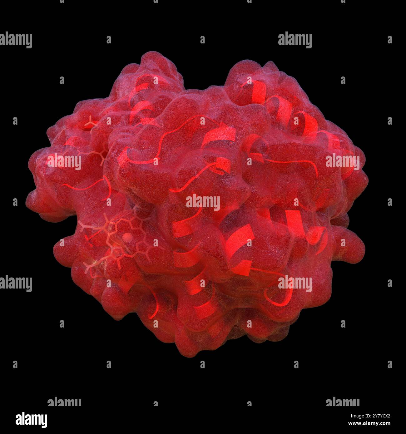 Illustration of haemoglobin, the iron-containing protein of red blood ...