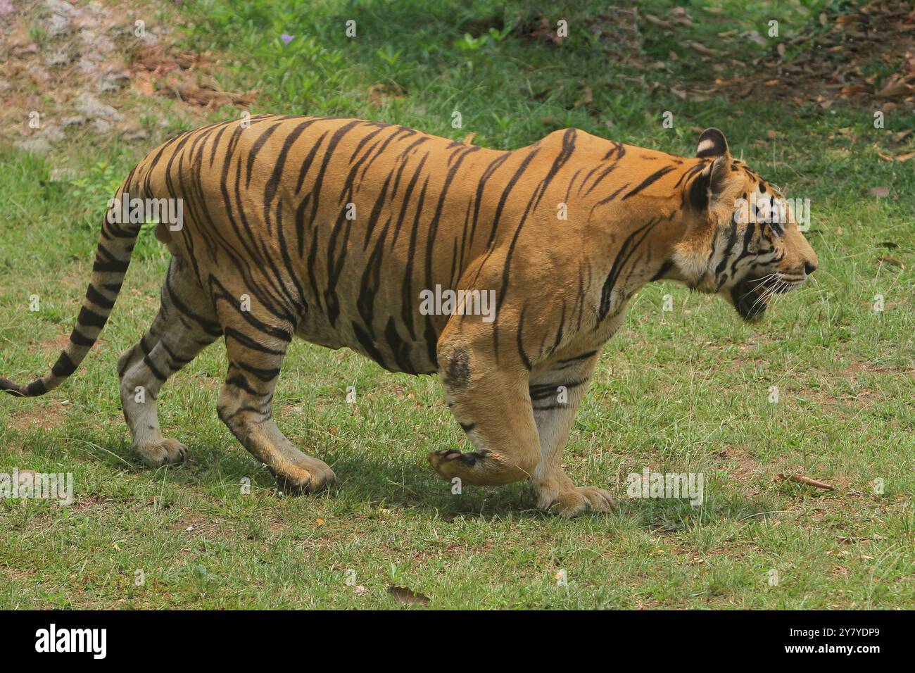 Noon activity hi-res stock photography and images - Alamy