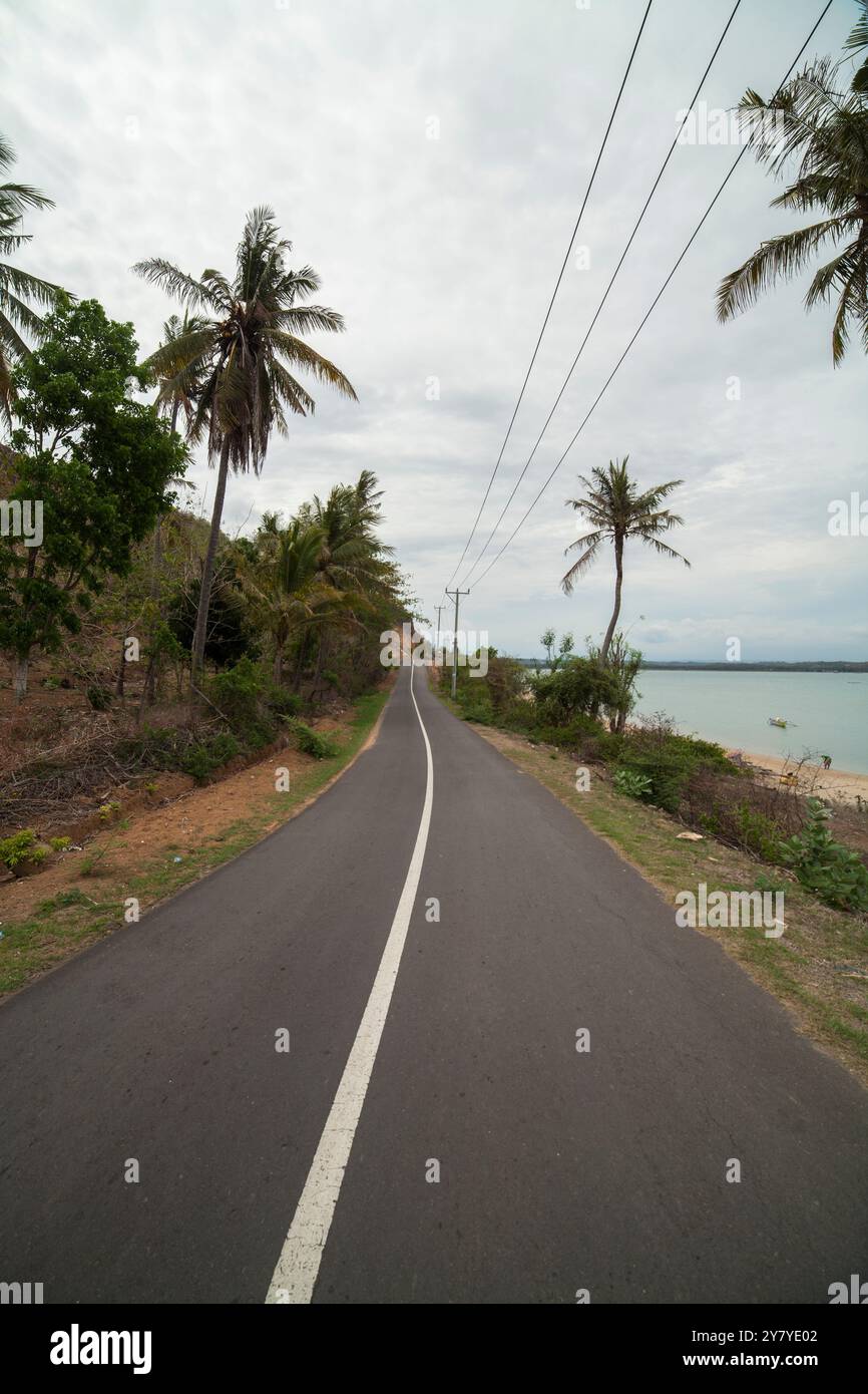 a straight path with coconut trees Stock Photo - Alamy