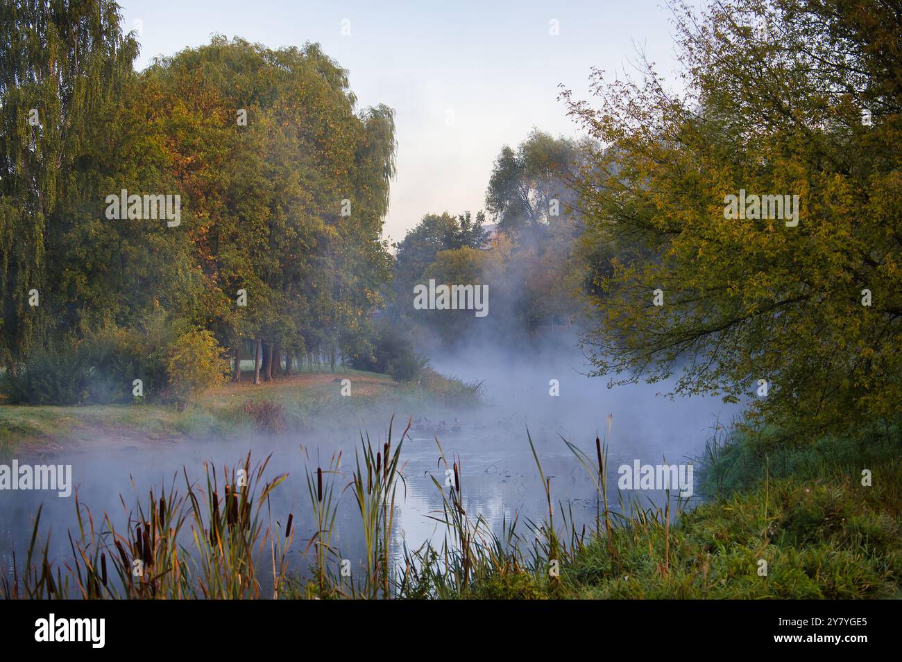 A calm morning scene captures mist rising over a peaceful river ...