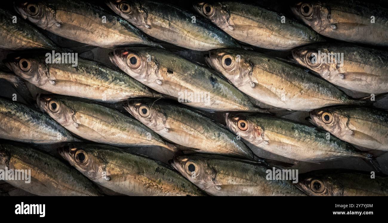 Fish on stall. Papeete's market. French Polynesia Stock Photo - Alamy
