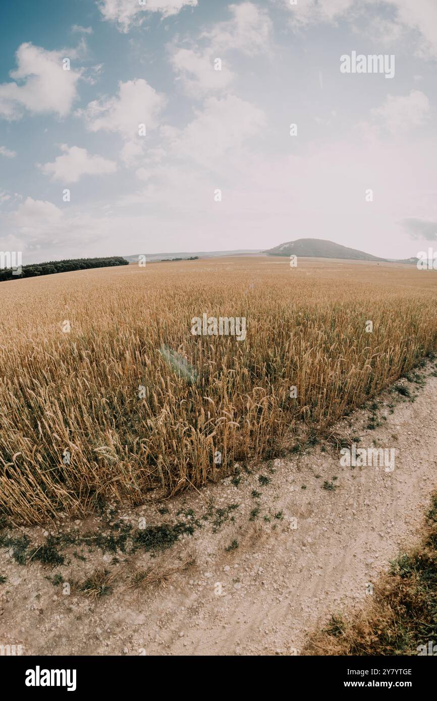 Under picture field hi-res stock photography and images - Alamy