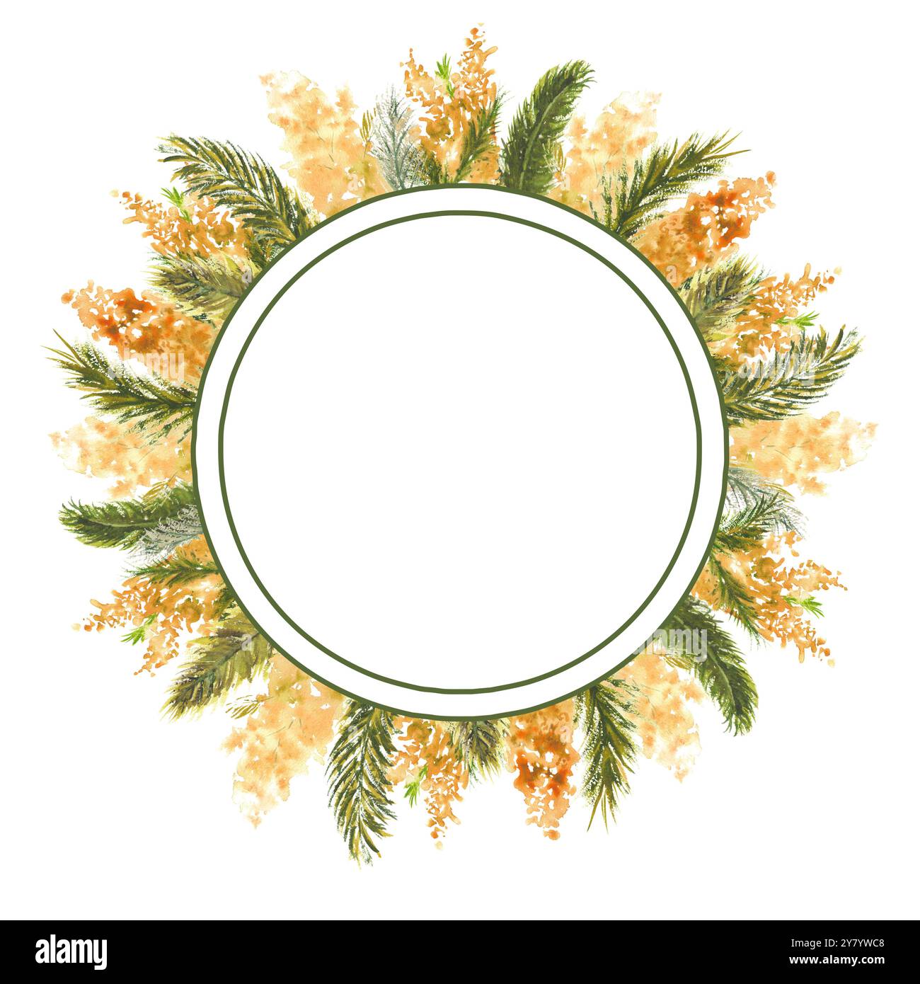 Geometric frame with Mimosa branches on the outer edge on a white isolated background ...