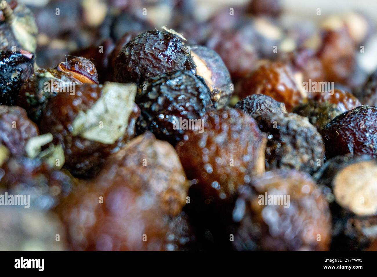 Lerak hi-res stock photography and images - Alamy