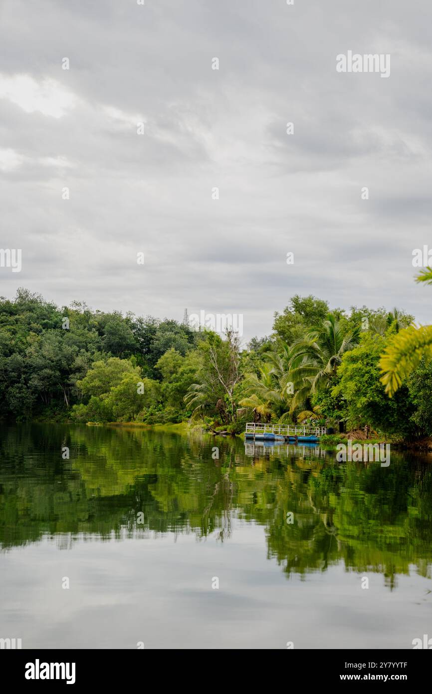Green nature of Widuri lake at Bukit Beruntung, Rawang, Selangor Stock ...