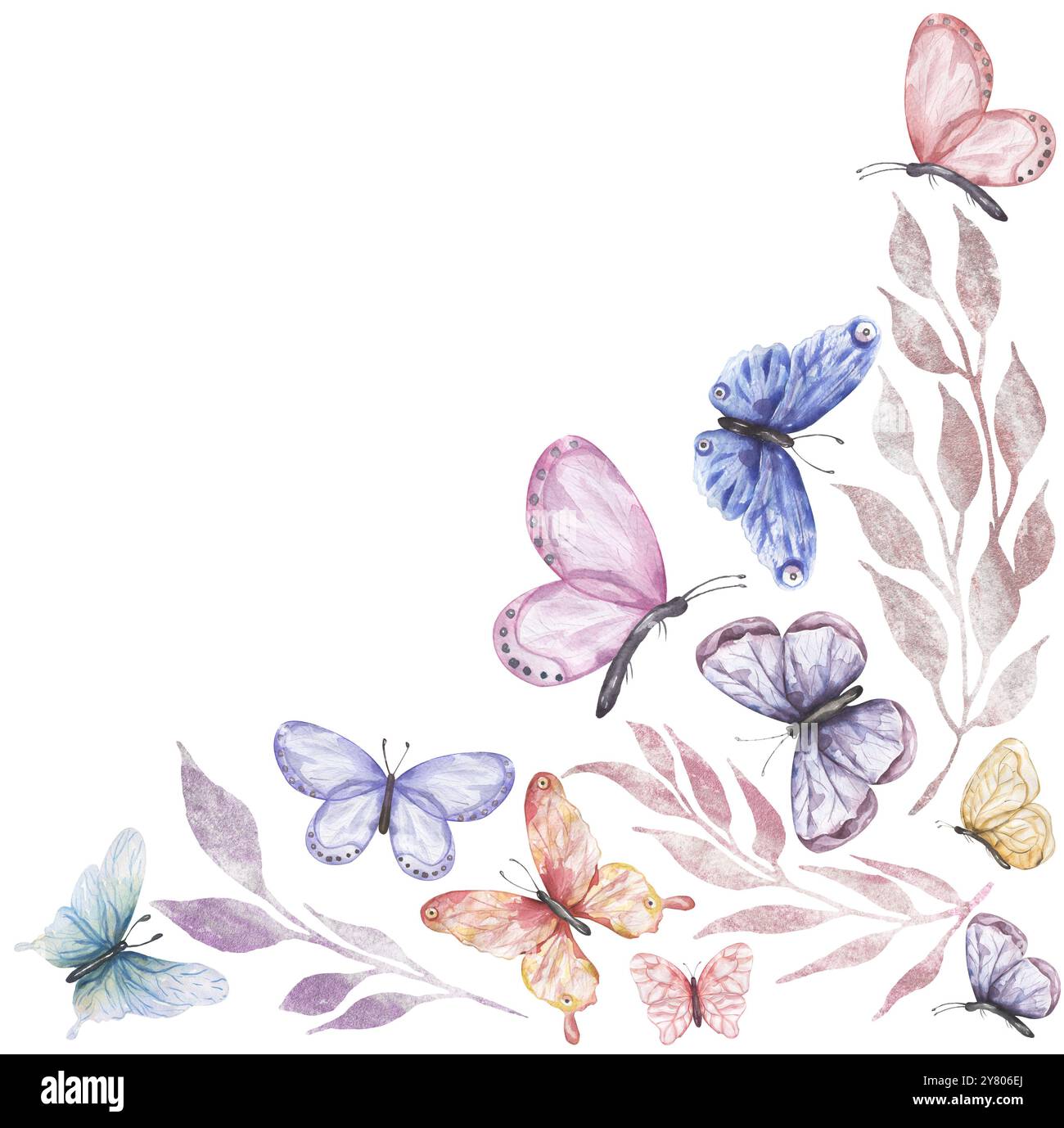 Butterfly Corner Borders