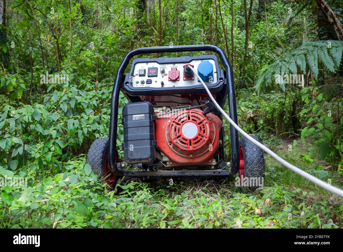 Portable three-phase electricity generator in the forest Stock Photo ...