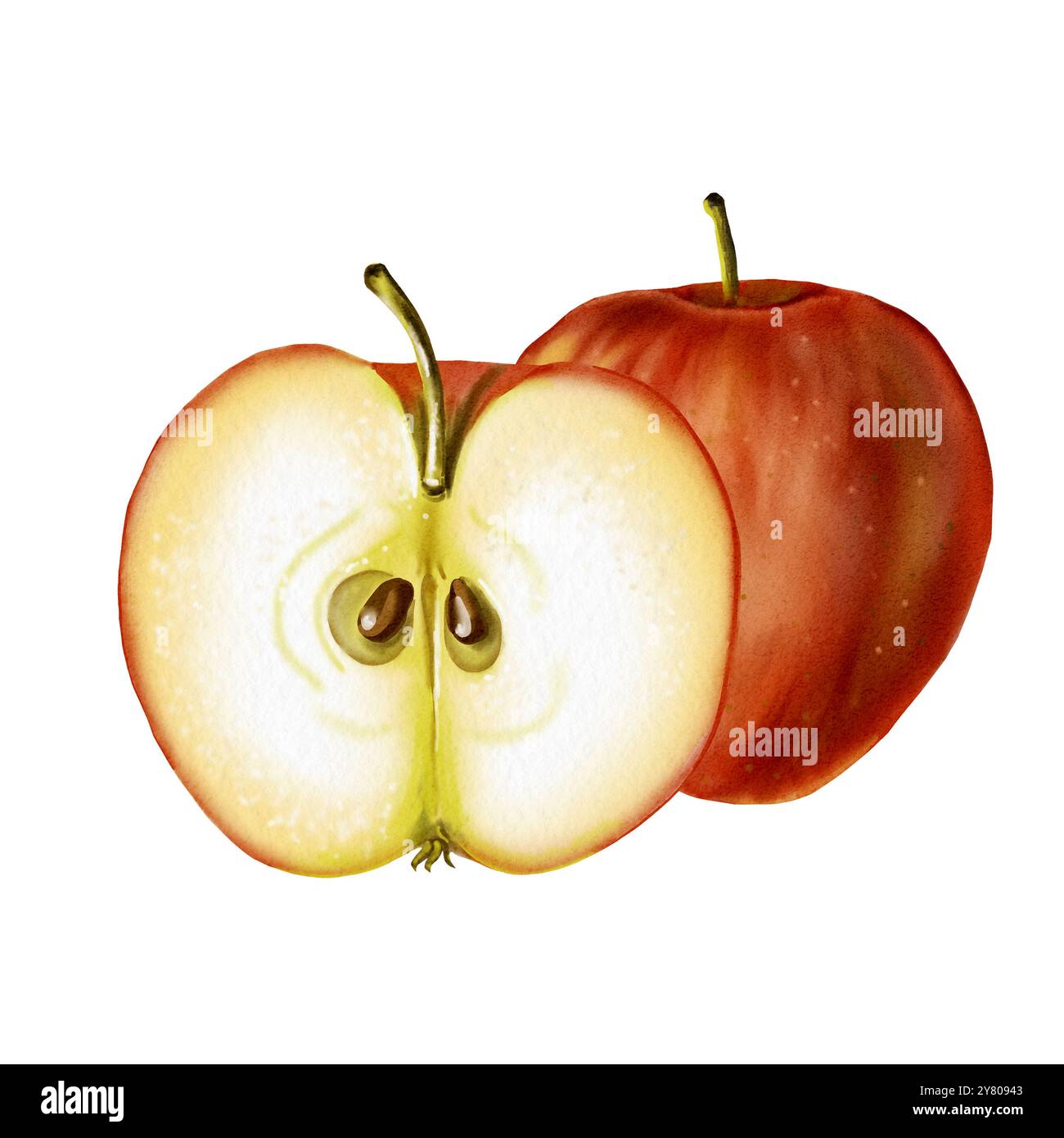 Composition of three apples. Whole and halved apples. The fruit is red ...